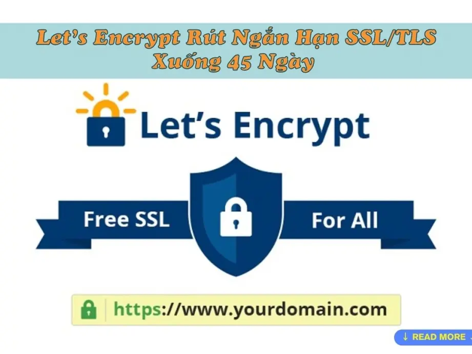 URL là gì? Giải mã cấu trúc URL cơ bản